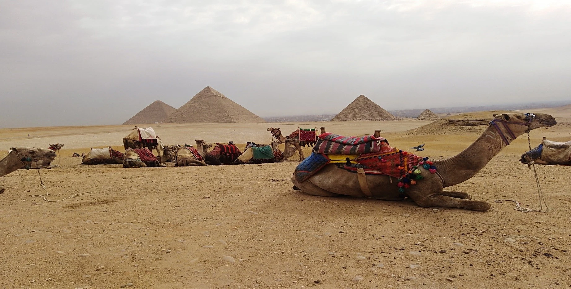 Epic 9-Days Egypt Tour: Cairo, Luxor, Nile Cruise & Aswan Discovery - Miracle Travel